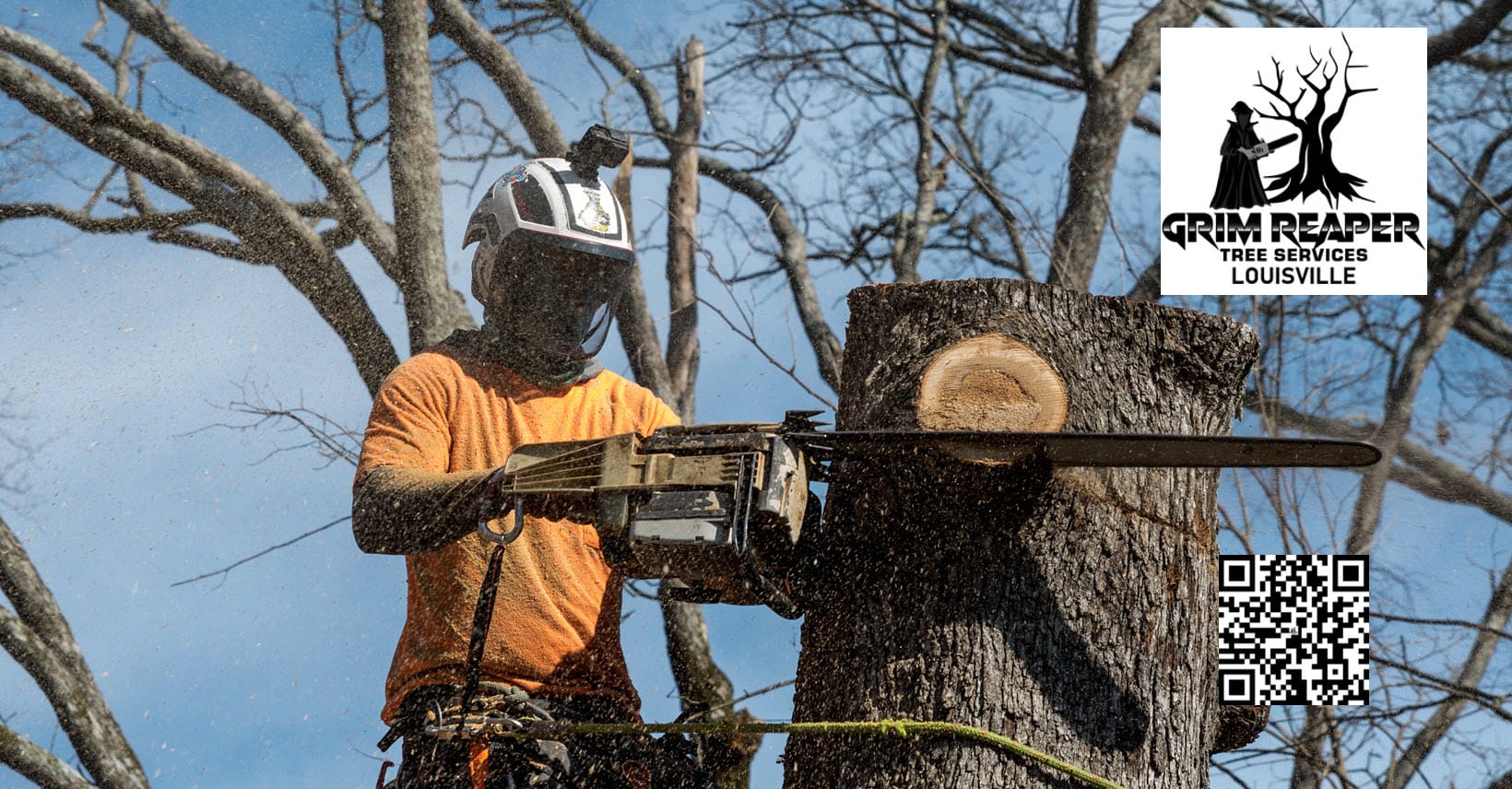Bradford Tree Surgeons - Tree Services - West Yorkshire